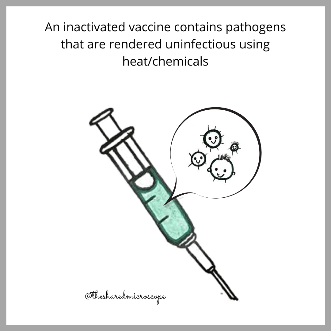 How do the COVID-19 vaccines work? – Fancy Comma, LLC