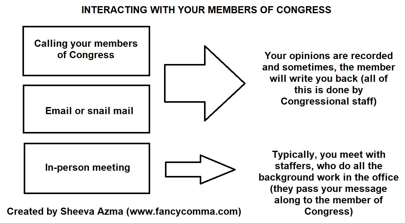Acing the Congressional One-Pager – Fancy Comma, LLC