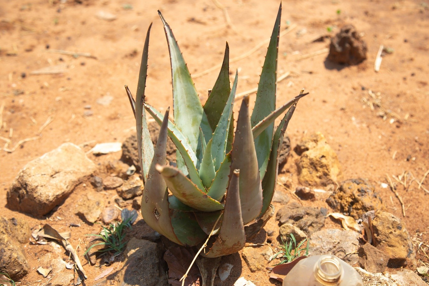 An Indigenous African Knowledge Framework in Science Communication ...
