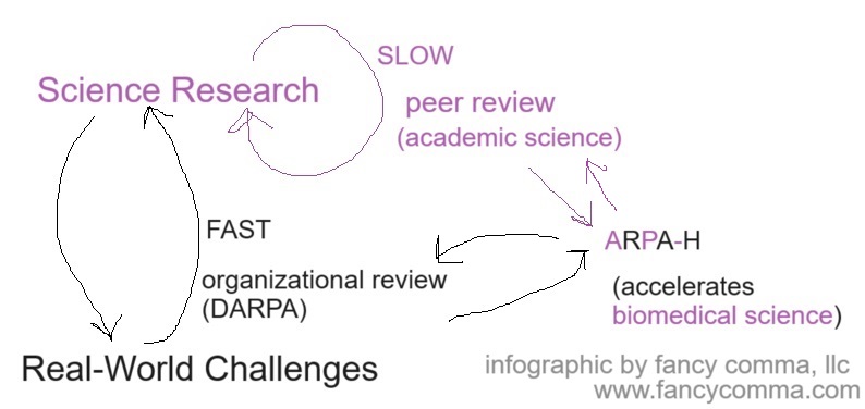 Models of US Science Research & Development – Fancy Comma, LLC